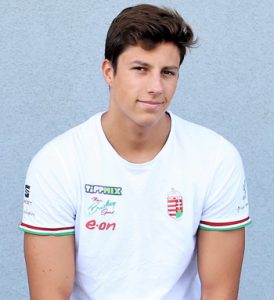 Vigvári Vendel – VLV